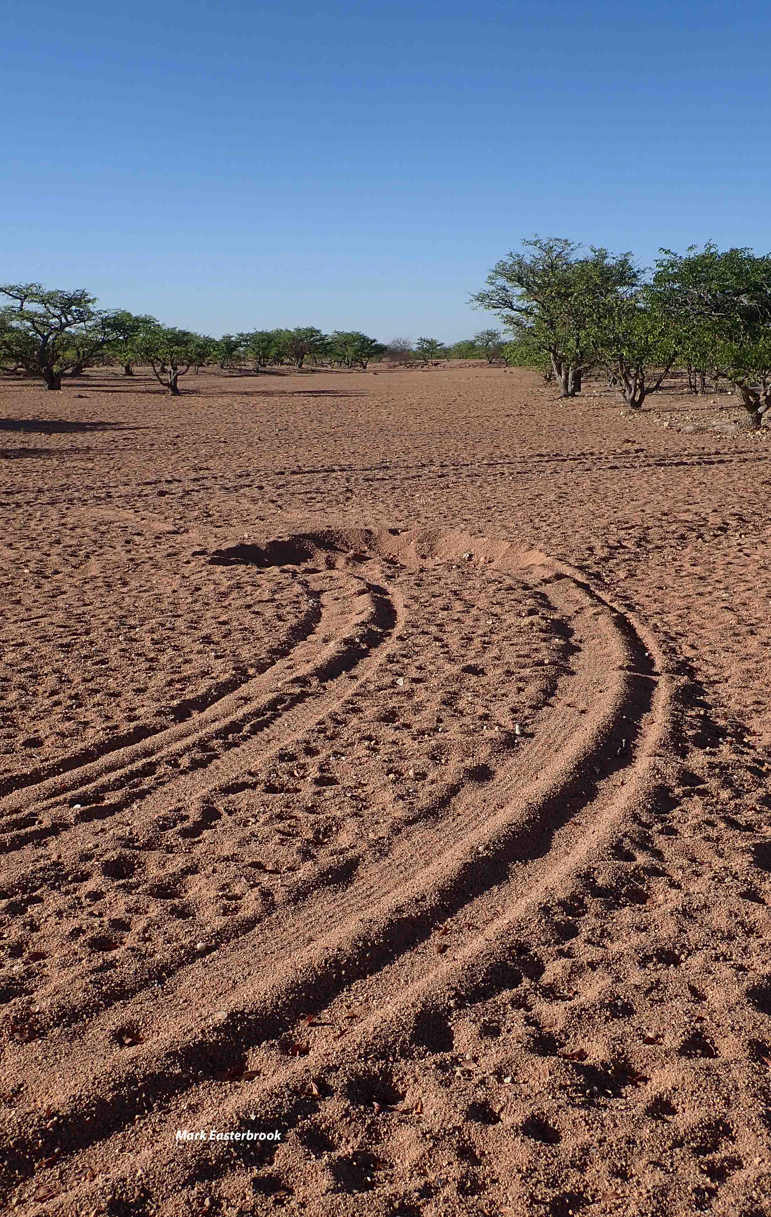 Mitigating Elephant and Human Conflict in the Namib – Ecosystem Hotspots